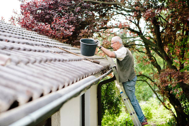 Expert Gutter cleaning in Minooka, IL | Call (419) 548-4880