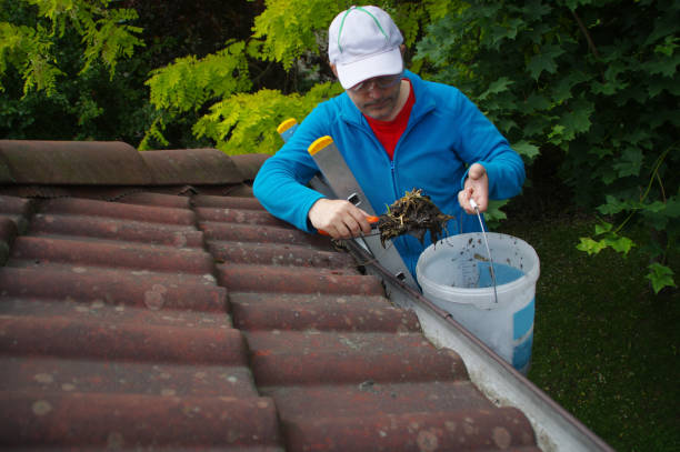 Professional Gutter Cleaning in Frederick, CO | Call (419) 548-4880