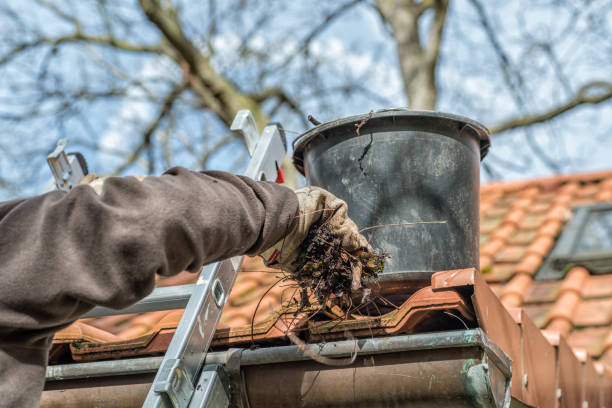 Expert Gutter cleaning in Minooka, IL | Call (419) 548-4880
