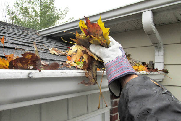 Expert Gutter cleaning in Nampa, ID | Call (419) 548-4880
